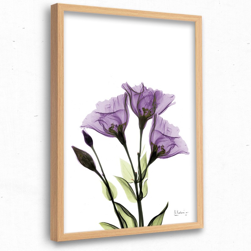 Cuadro Flores Rayos X Purpura